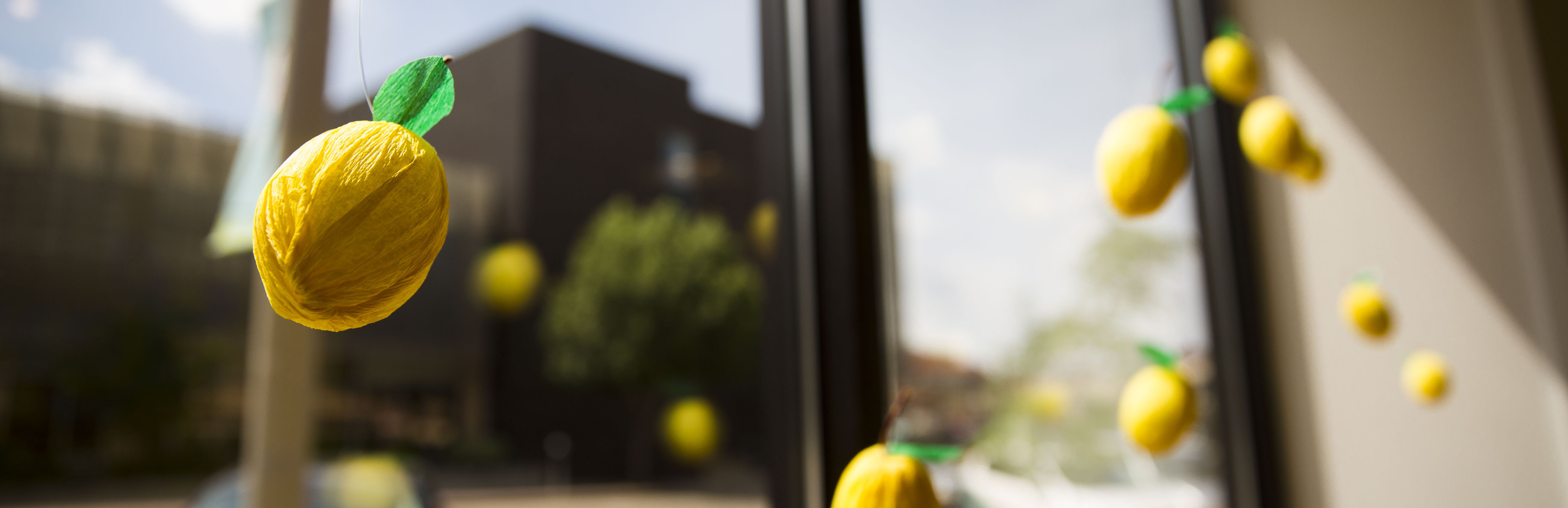 Infographic Clients: From Marriott to the Packers | Lemonly Infographics