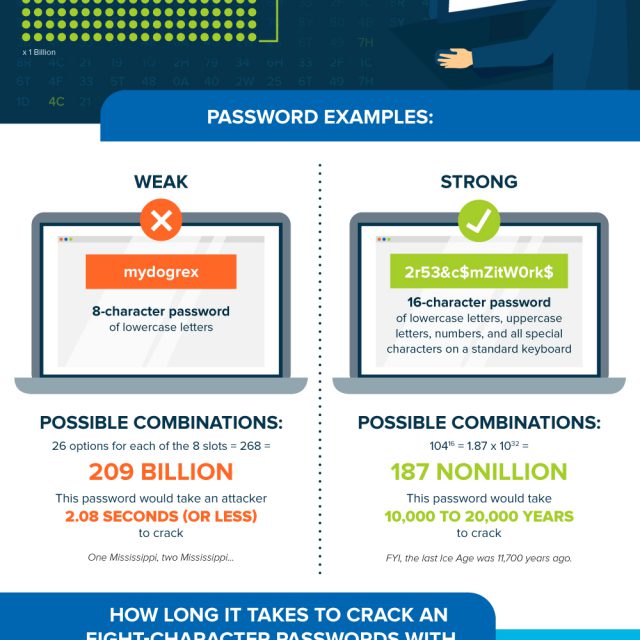 Password Infographic Preview Animation - Lemonly Infographics